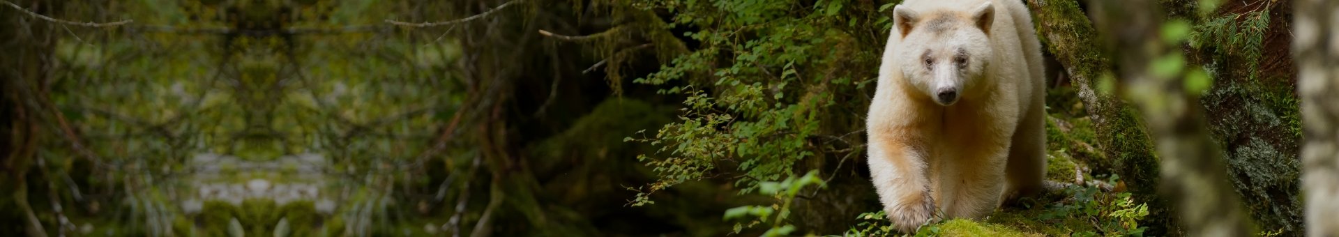 Canadian Provinces to Immigrate | Canadianvisa.org